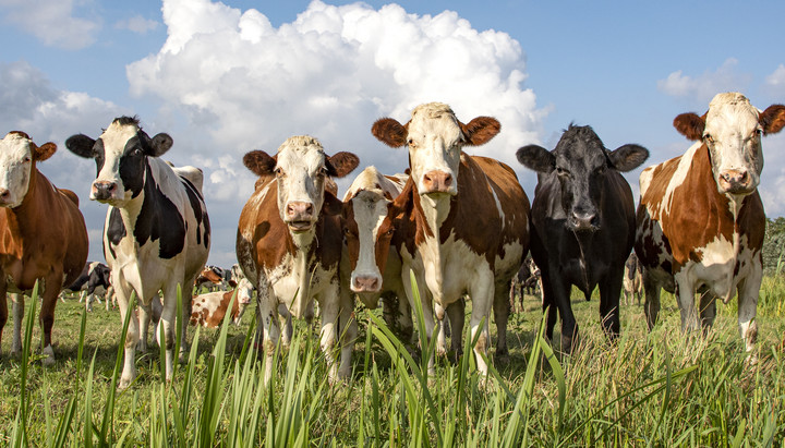 Landwirtschaft und Ernährung – Deutsche Umwelthilfe e.V.